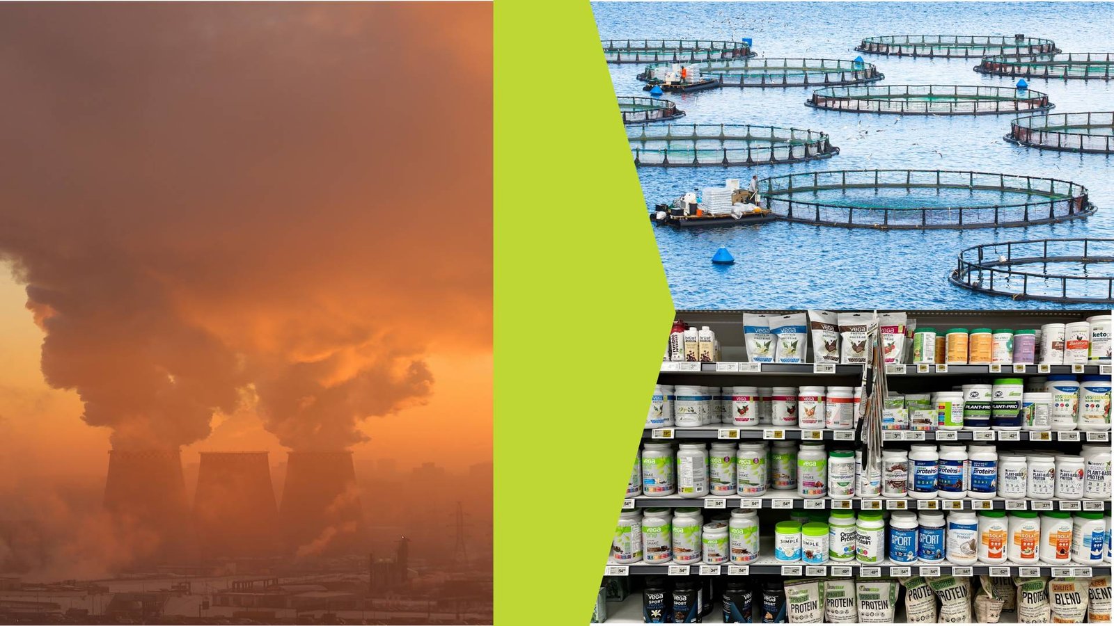 INNOVO | The Net Zero Network